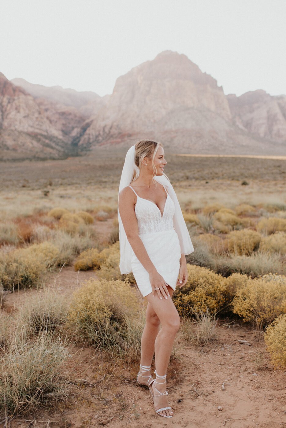 Renee & Tim Chapel and Red Rock - Las Vegas Elopement Photography ...